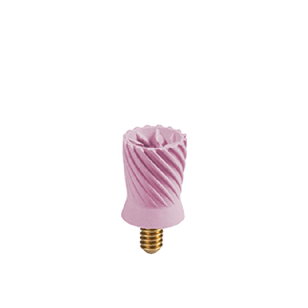 PRP-3 Prophy Plus - Strauss Diamond